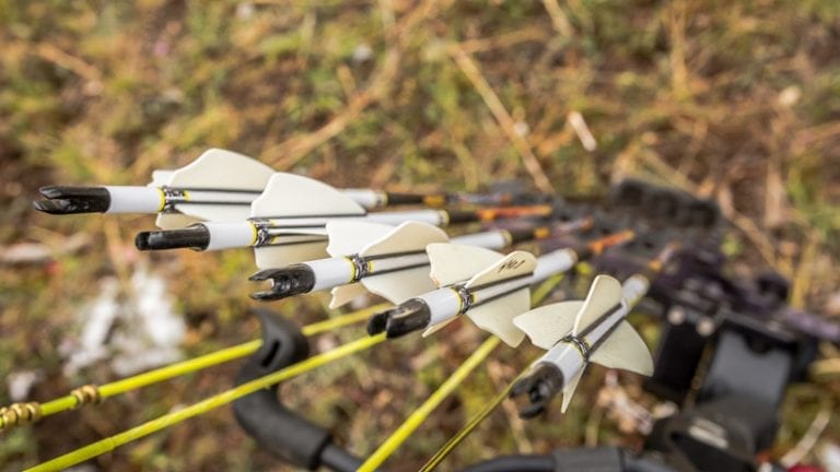 How Fast Does A Archery Bow Arrow Really Travel